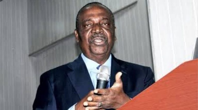 Professor Olufemi Bamiro – Scholar & Education Leader – Nigeria 234